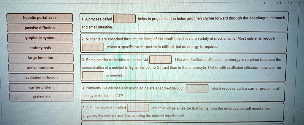 hepatic portal vein 1 a process called peristalsis helps to propel ...