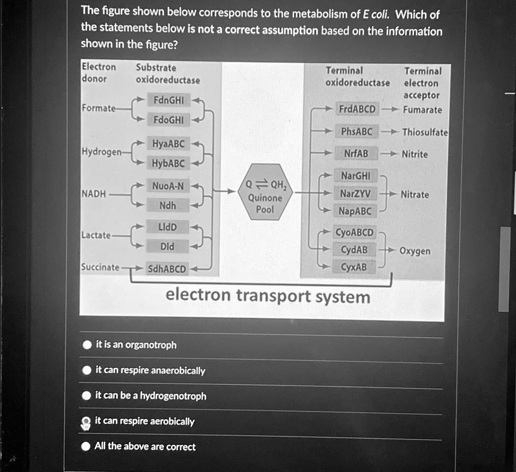 SOLVED: The figure shown below corresponds to the metabolism of E. coli ...