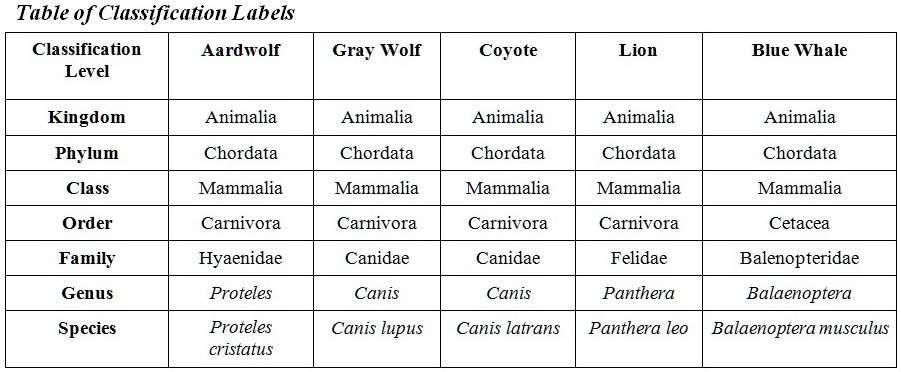 SOLVED: Which organisms in the table are most similar to a tiger ...