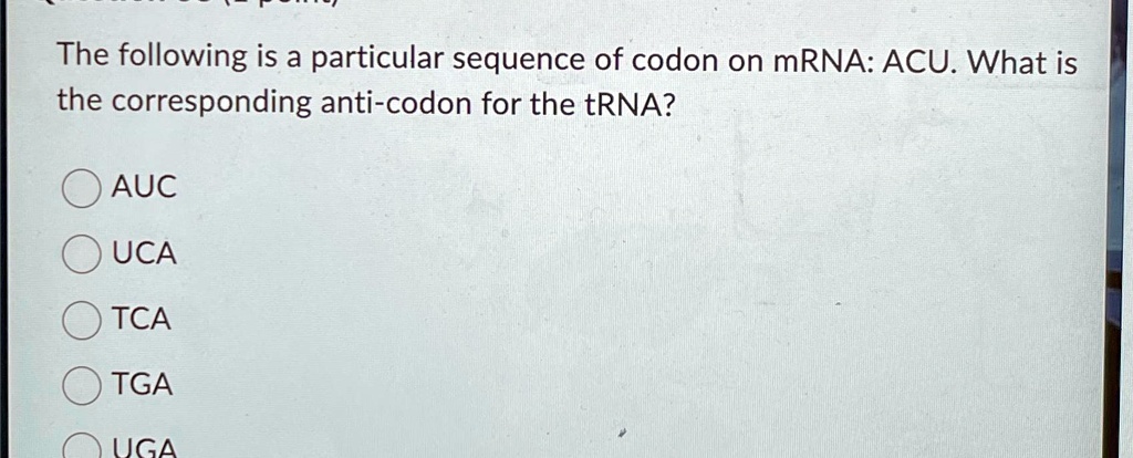 Solved The Following Is A Particular Sequence Of Codon On Mrna Acu