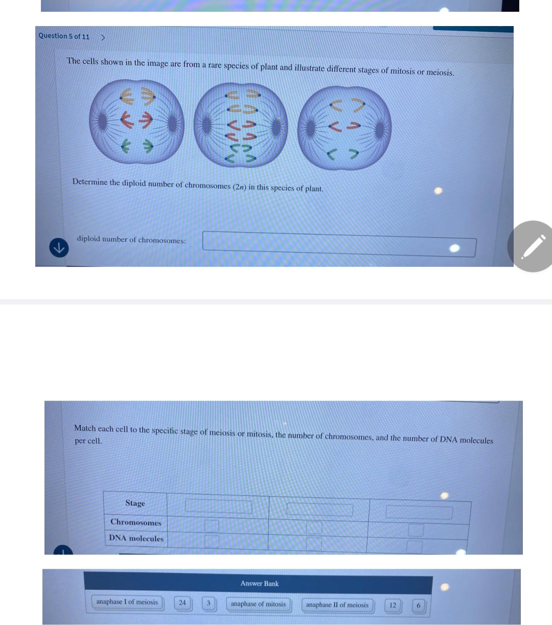 question 5 of 11 the cells shown in the image are from a rare species ...
