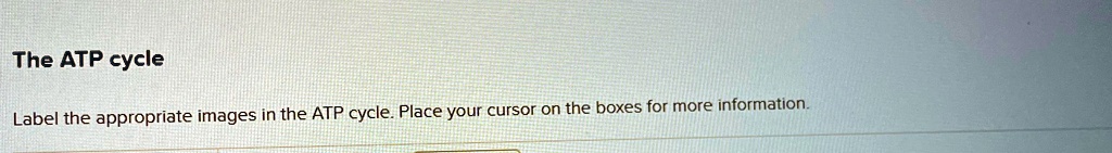 The ATP cycle Label the appropriate images in the ATP cycle. Place your ...