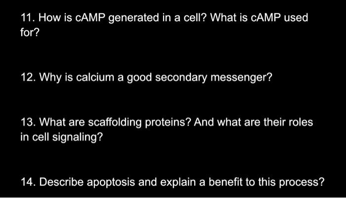 11. How is cAMP generated in a cell? What is cAMP used for? 12. Why is ...