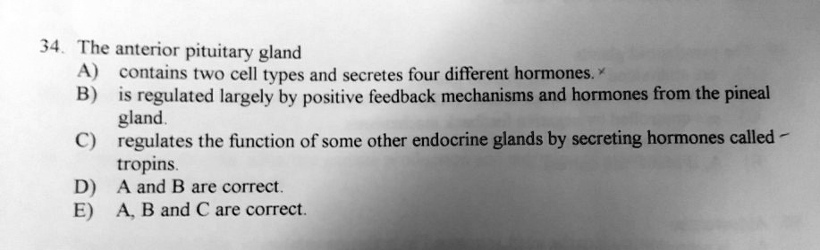 SOLVED:54 The anterior pituitary gland contains tWo cell types and ...