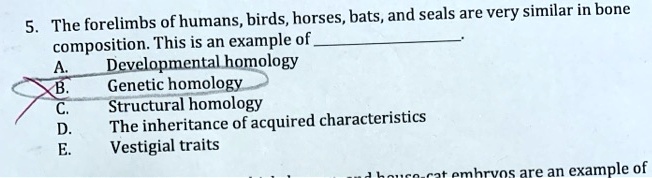 SOLVED: The forelimbs of humans, birds, horses, bats, and seals are ...