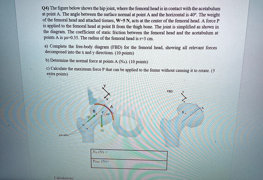 Q4) The figure below shows the hip joint, where the femoral head is in ...