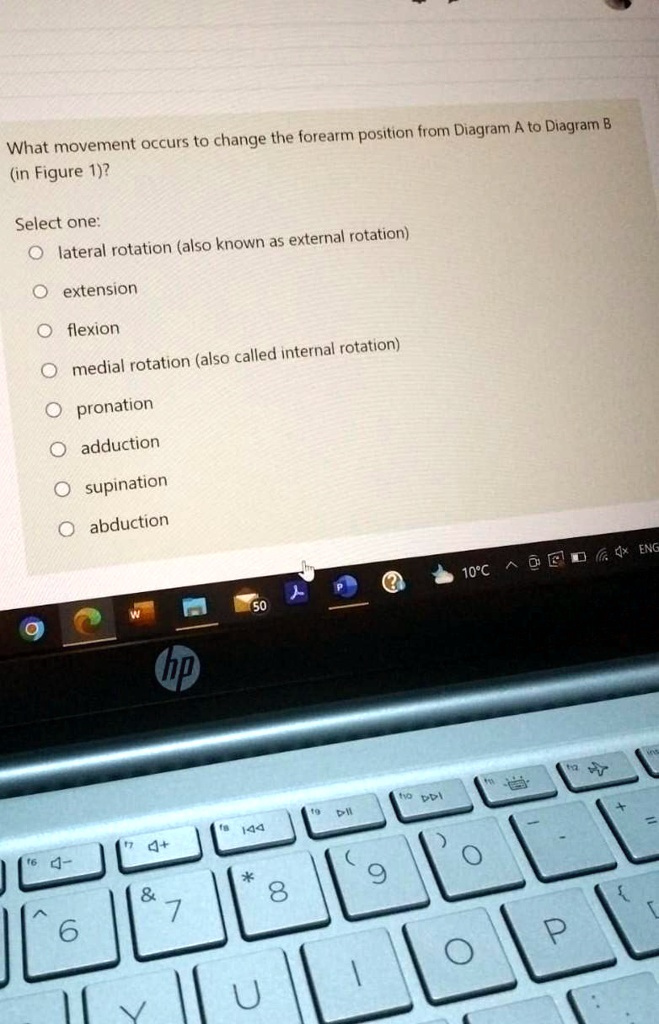 What movement occurs to change the forearm position from Diagram A to ...