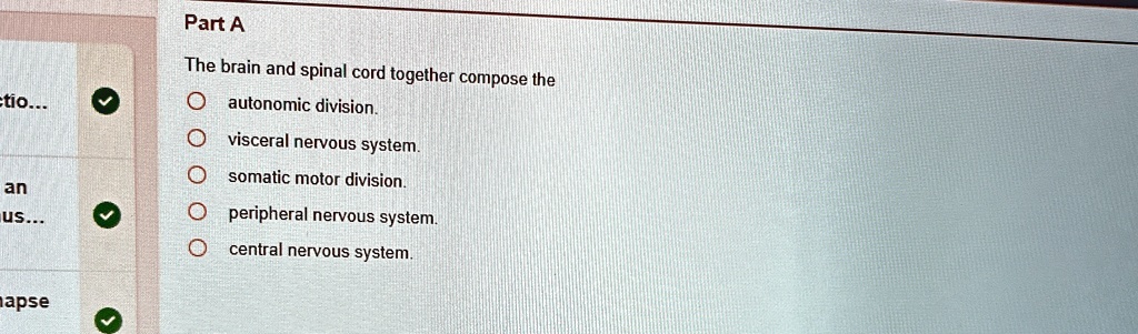 part a the brain and spinal cord together compose the autonomic ...
