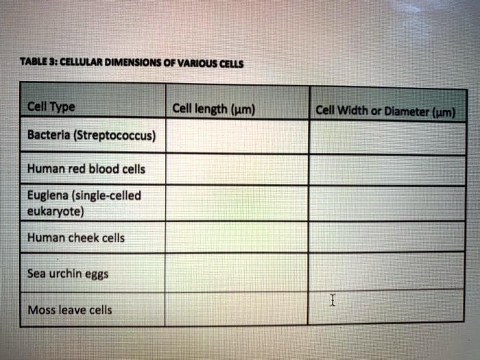 SOLVED: TABLE 3: CELLULAR DIMENSIONS OF VARIOUS CELLS Cell Type Cell ...