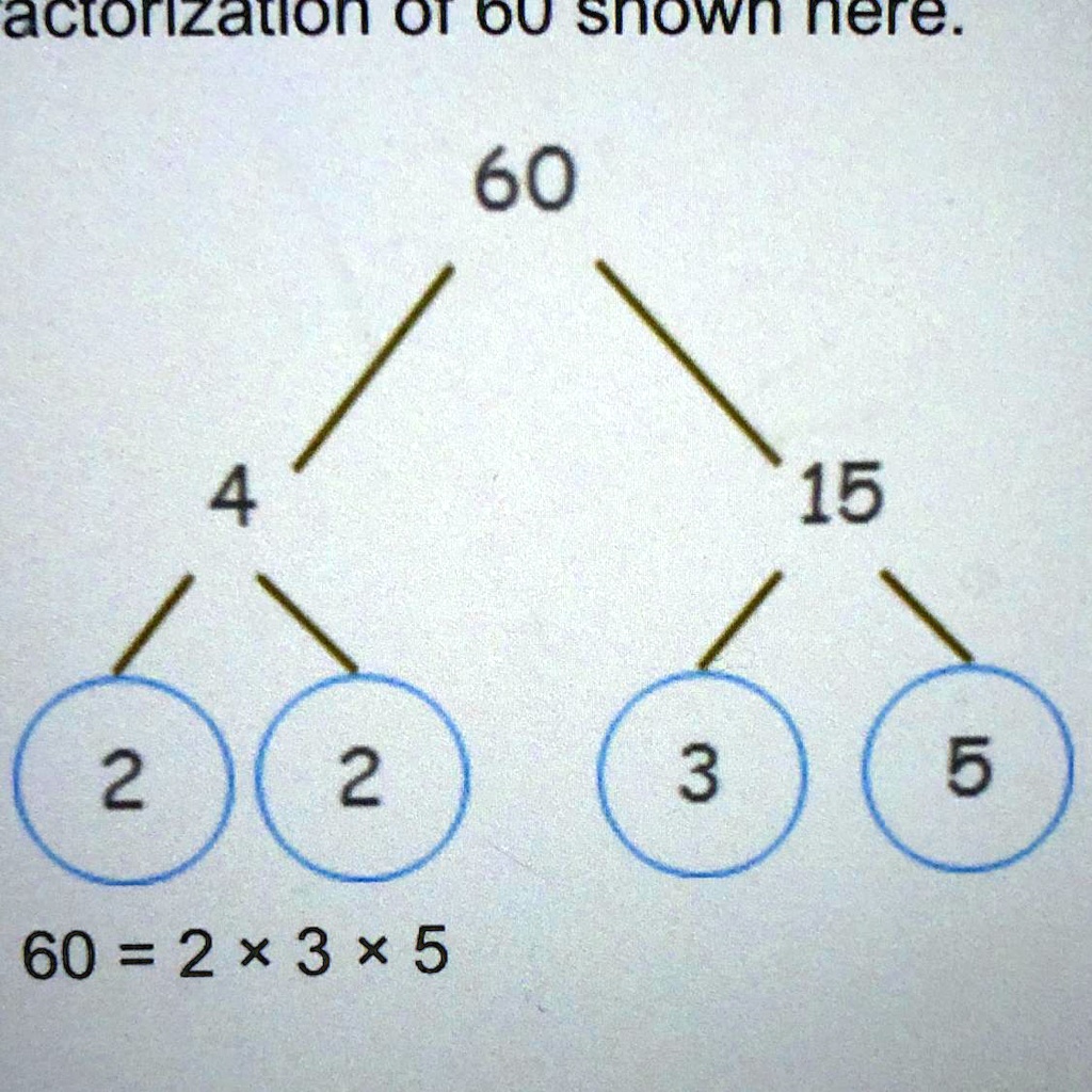 SOLVED: Darius created a factor tree and wrote the prime factorization ...