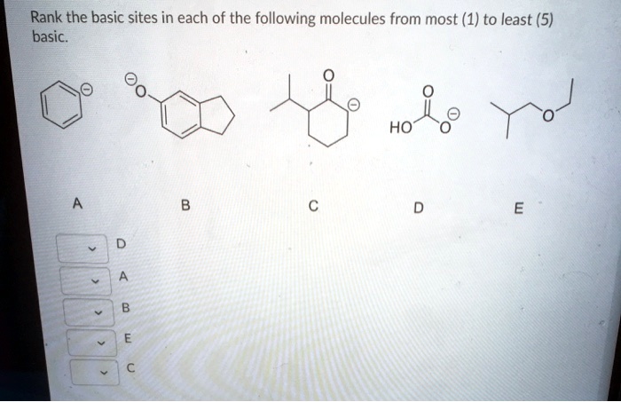 SOLVED: Rank the basic sites in each of the following molecules from ...