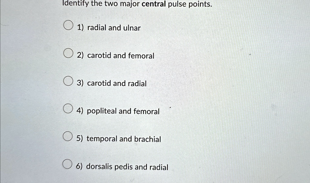 identify the two major central pulse points radial and ulnar carotid ...