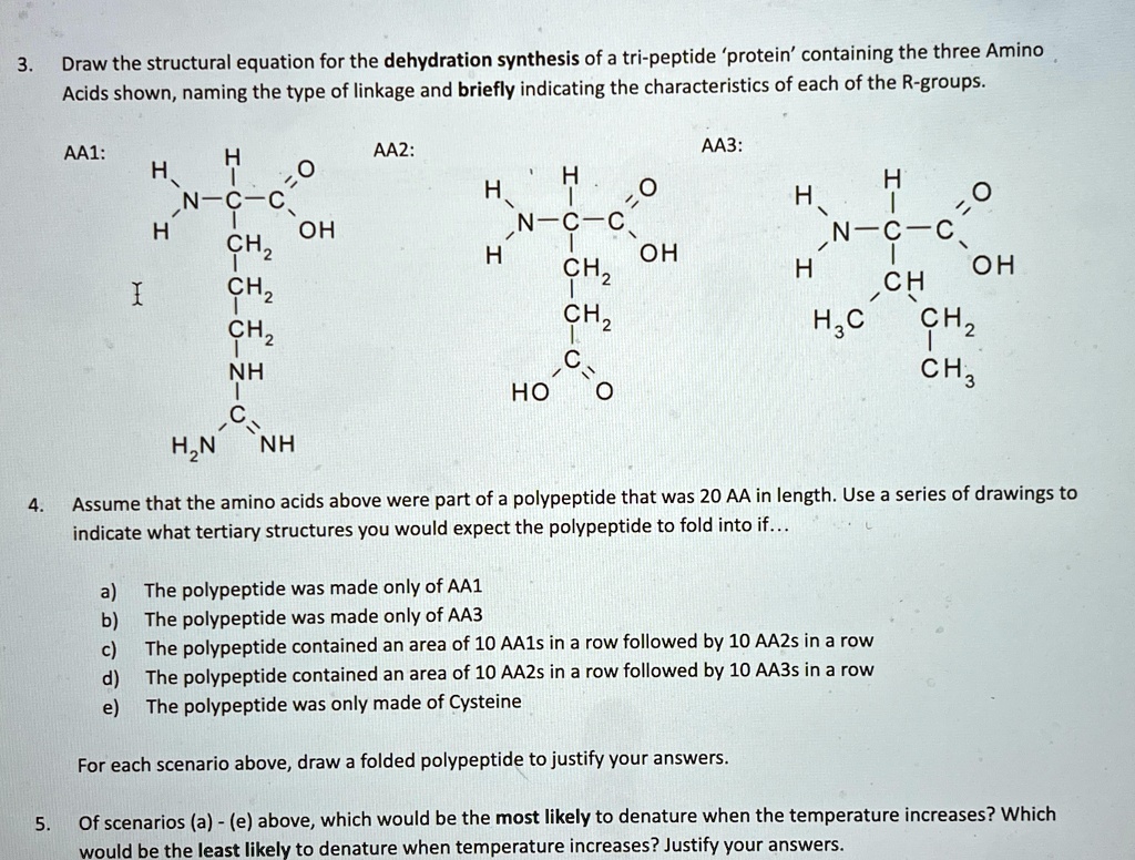 3. Draw the structural equation for the dehydration synthesis of a tri ...