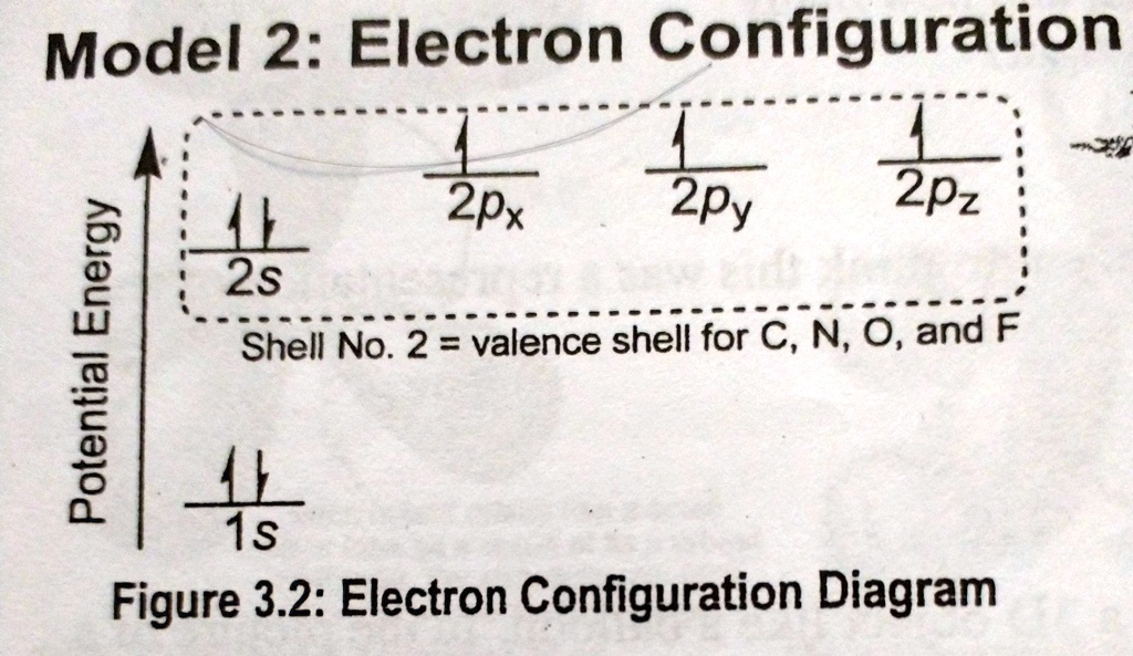SOLVED: 2. What neutral atom is represented by the electronic ...