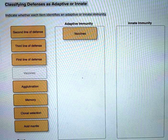 SOLVED: Classifying Defenses as Adaptive or Innate Indicate whether each item identifies an ...