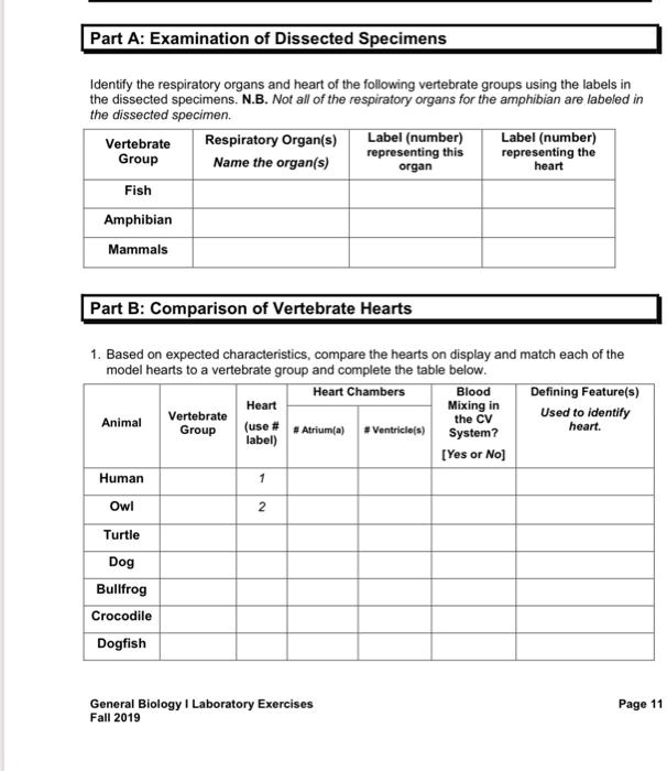 SOLVED: Part A: Examination of Dissected Specimens Identify the ...
