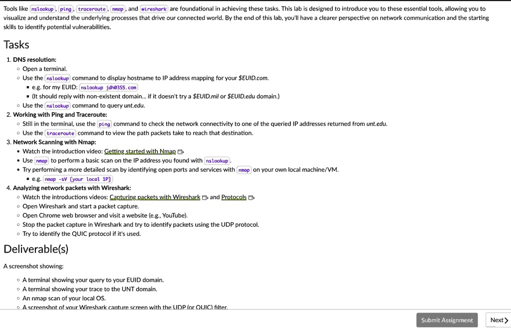 Skills to identify potential vulnerabilities. Tasks: DNS resolution: 1. Open a terminal. 2. Use ...