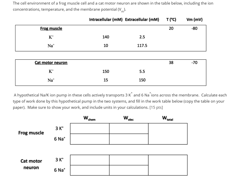 the cell environment of a frog muscle cell and cat motor neuron are ...