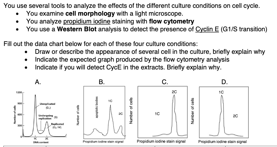 you use several tools to analyze the effects of the different culture ...