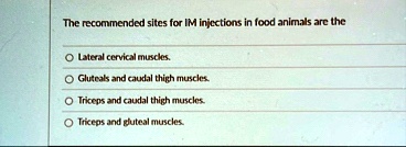 the recommended sites for im injections in food animals are the o ...
