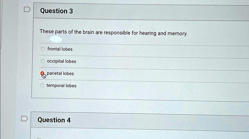 SOLVED: Question 3 These parts of the brain are responsible for hearing ...