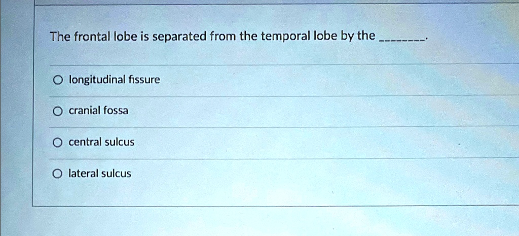 the frontal lobe is separated from the temporal lobe by the ...