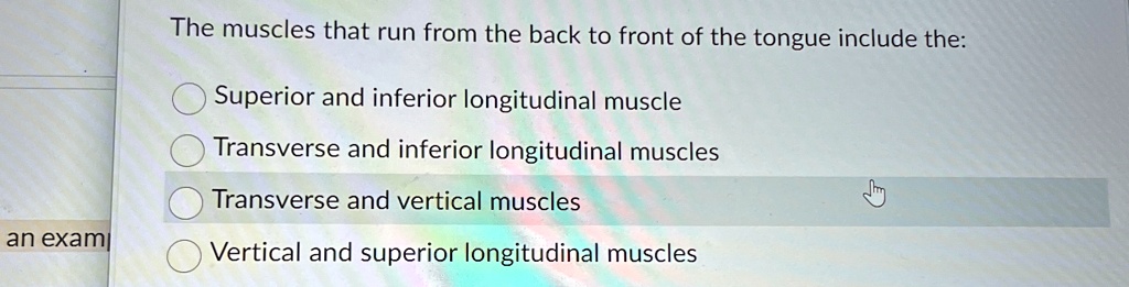 the muscles that run from the back to front of the tongue include the ...