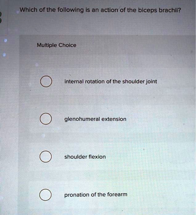 SOLVED: Which of the following is an action of the biceps brachii ...