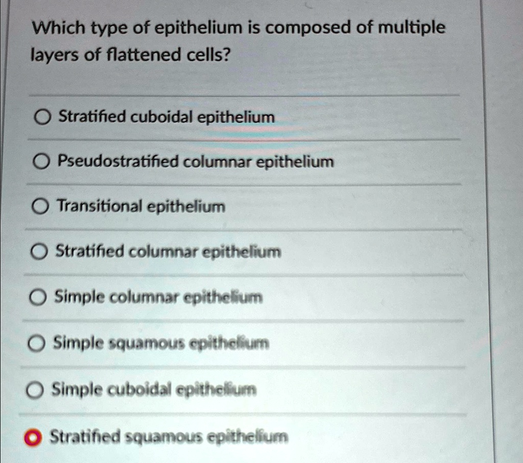 which type of epithelium is composed of multiple layers of flattened ...
