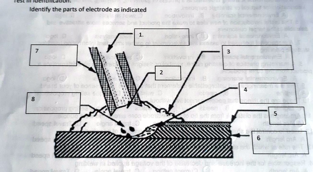 SOLVED: Identify the parts of the electrode as indicated.