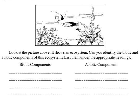 VIDEO solution: What is the answer? Please need help. Look at the ...