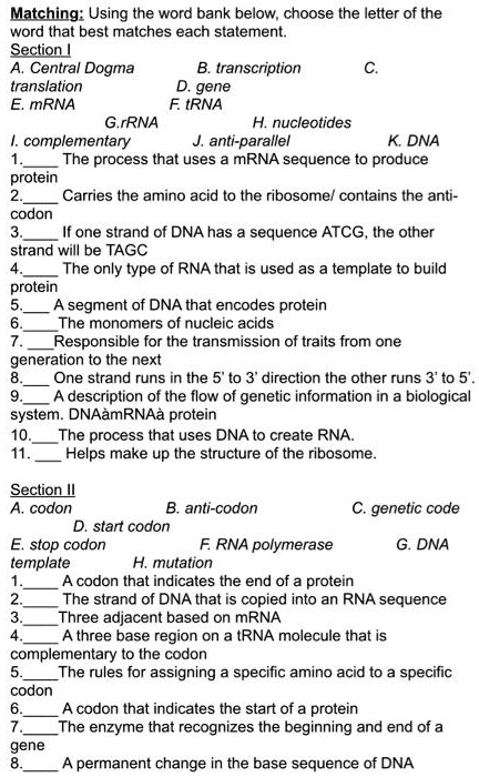 SOLVED: Matching: Using the word bank below; choose the letter of the ...