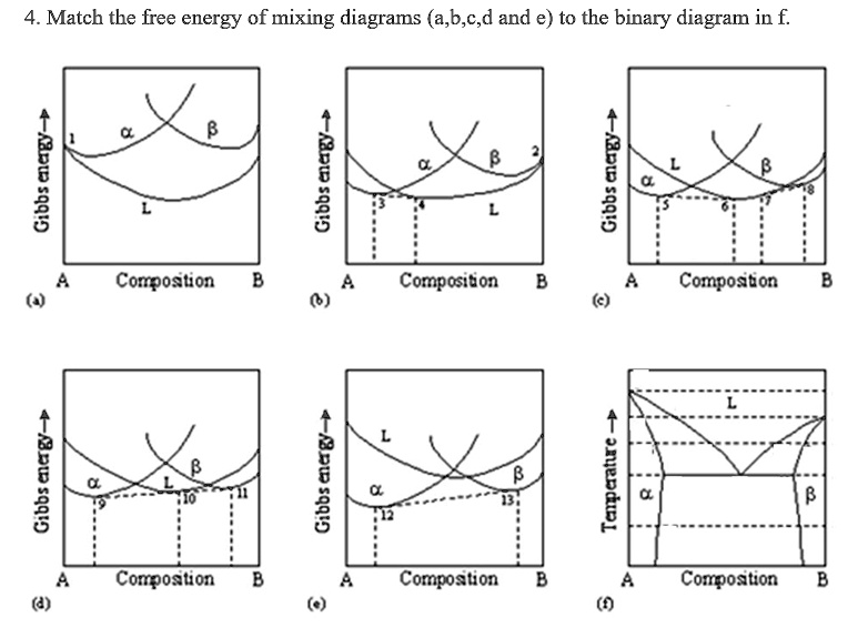 4. Match the free energy of mixing diagrams (a,b,c,d and e) to the ...