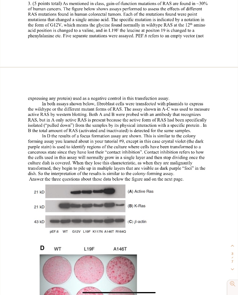 3 5 points total as mentioned in class gain of function mutations of ...