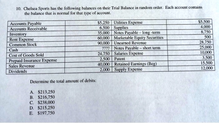 10. Chelsea Sports has the following balances on their Trial Balance in ...