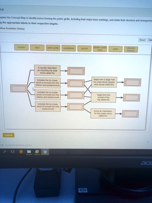 Complete the Concept Map to identify bones forming the...