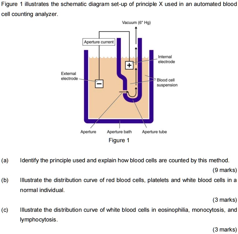 Figure 1 illustrates the schematic diagram set-up of principle X used ...