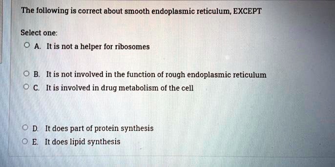the following is correct about smooth endoplasmic reticulum except ...