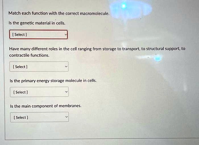 SOLVED: Match each function with the correct macromolecule Is the genetic material in cells ...