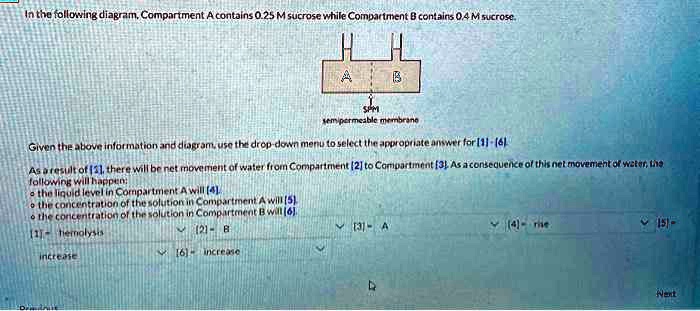 SOLVED: Texts: In the following diagram, Compartment A contains 0.25 M ...