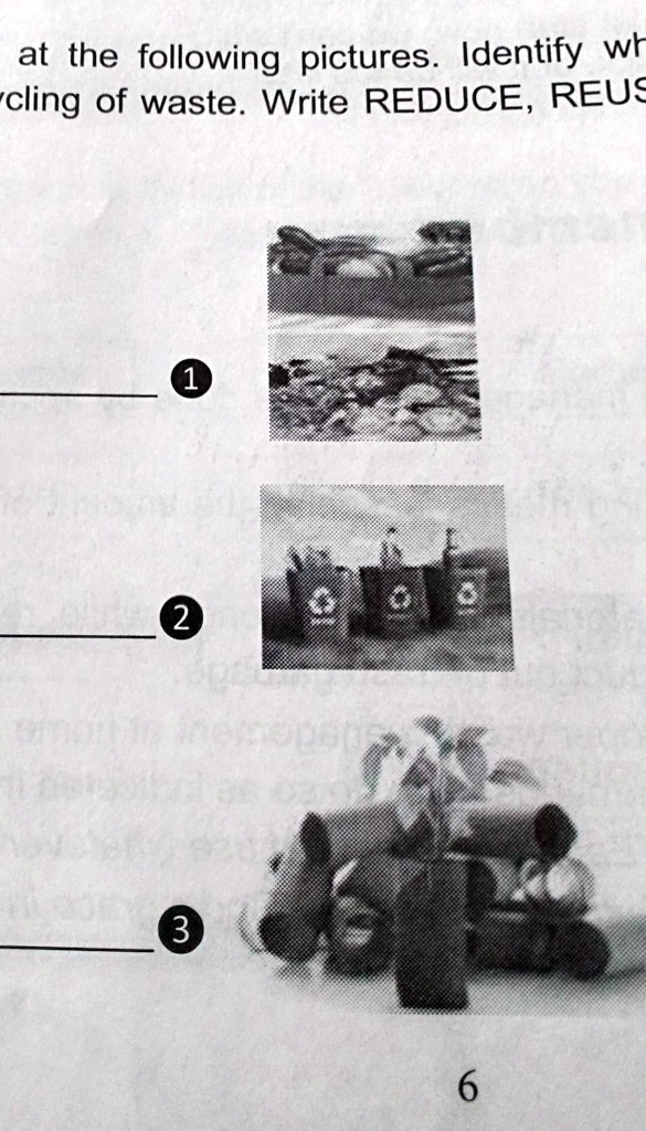 SOLVED: Directions: Look at the following pictures. Identify which ...