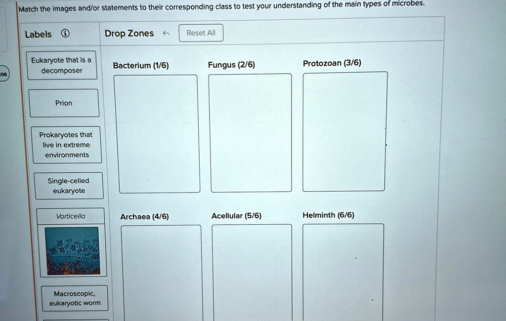 Match the images and/or statements to their corresponding class to test ...