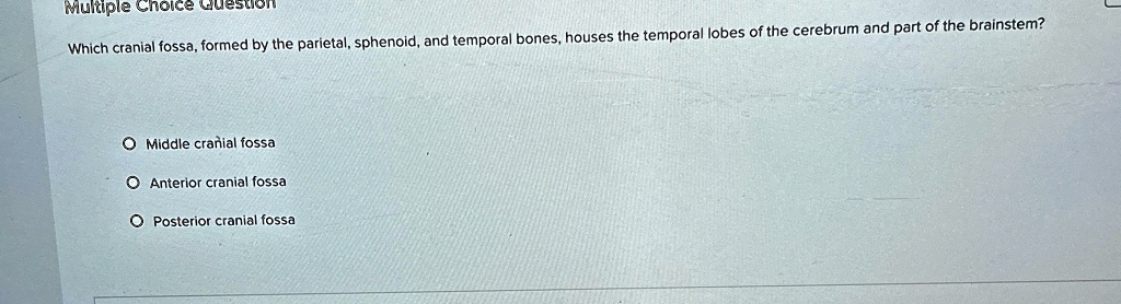 multiple choice question which cranial fossa formed by the parietal sphenoid and temporal bones ...