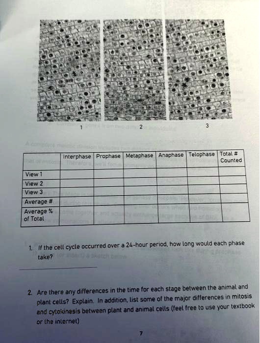 SOLVED: Texts: The pictures below show whitefish blastula cells (blastula is an early stage of ...