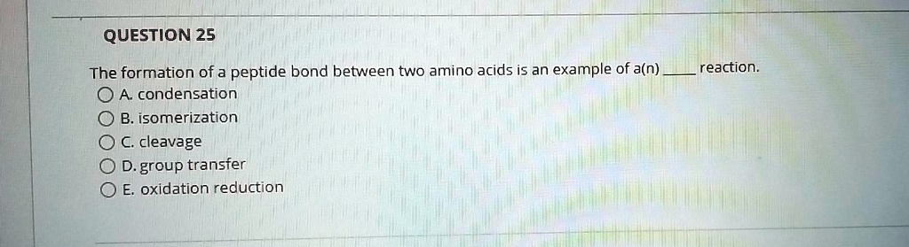 SOLVED: QUESTION 25 The formation of a peptide bond between two amino ...