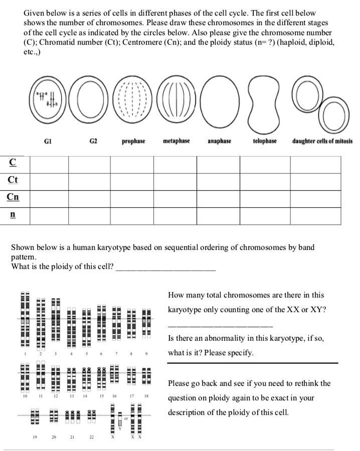 SOLVED: Given below is series of cells in different phases of the cell ...