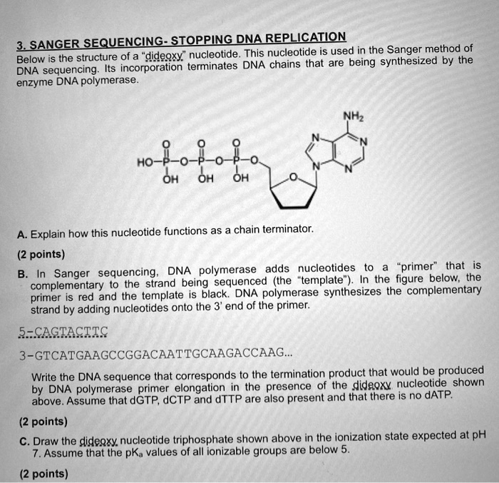 sanger sequencingstopping dna replication of a dideoxy nucleotide this ...