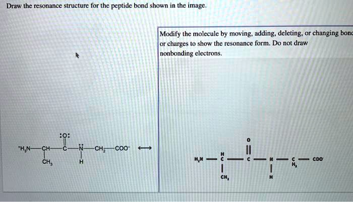SOLVED: Draw the resonance structurc for the peptide bond shown in the image Modify the molecule ...