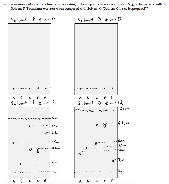 assuming only partition forces are operating in this experiment why ...