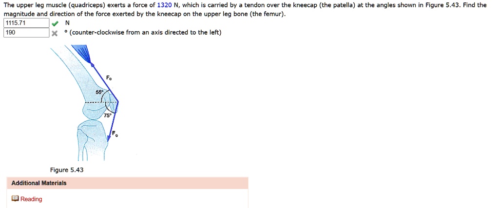 SOLVED: The upper leg muscle (quadriceps) exerts a force of 1320 N ...
